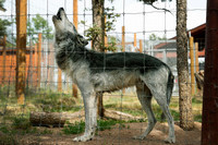 Home - Colorado College