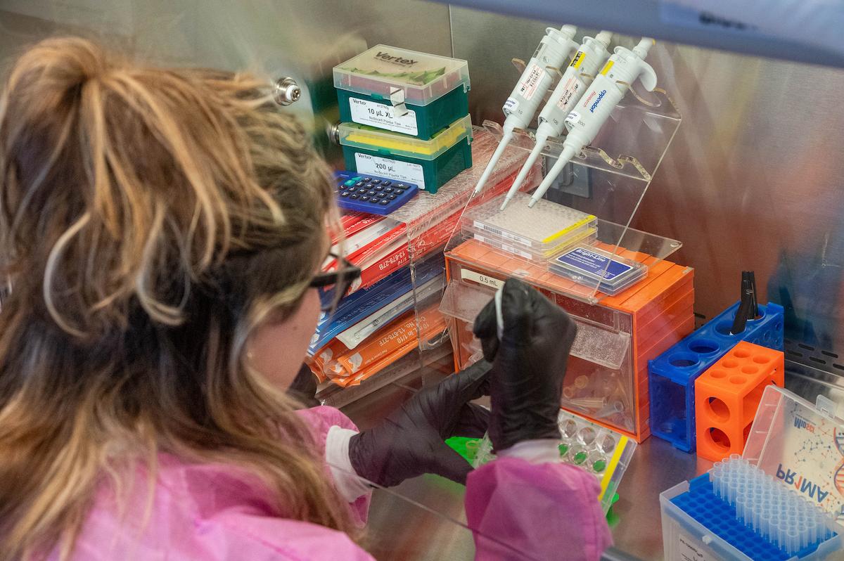 Molecular Biology - Colorado College