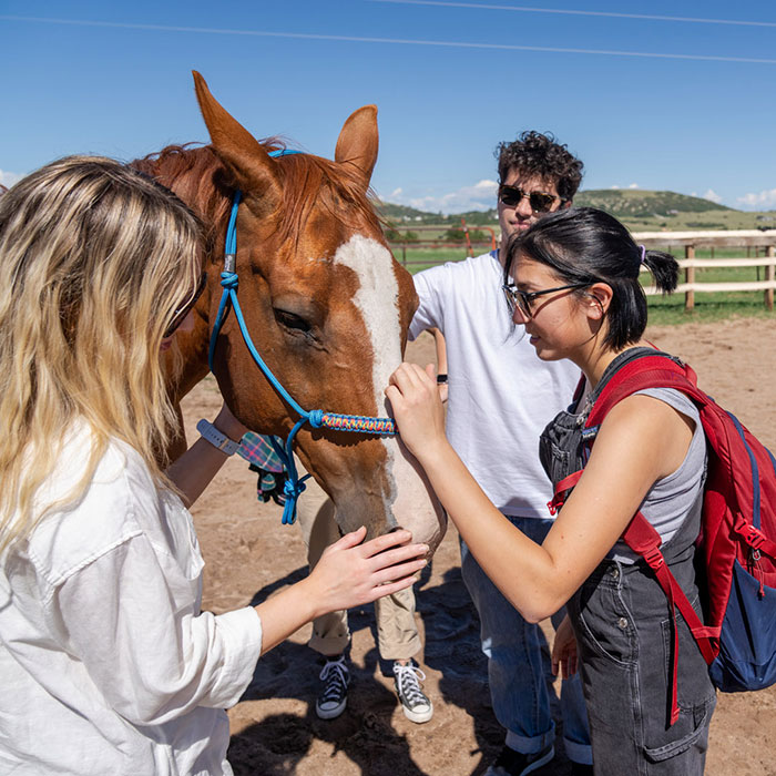 Italian Professor Uses Horses to Help Students Focus - Colorado College