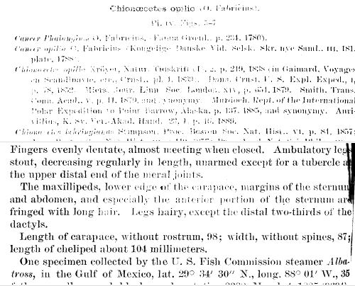 Creating Text-Based PDFs - Colorado College